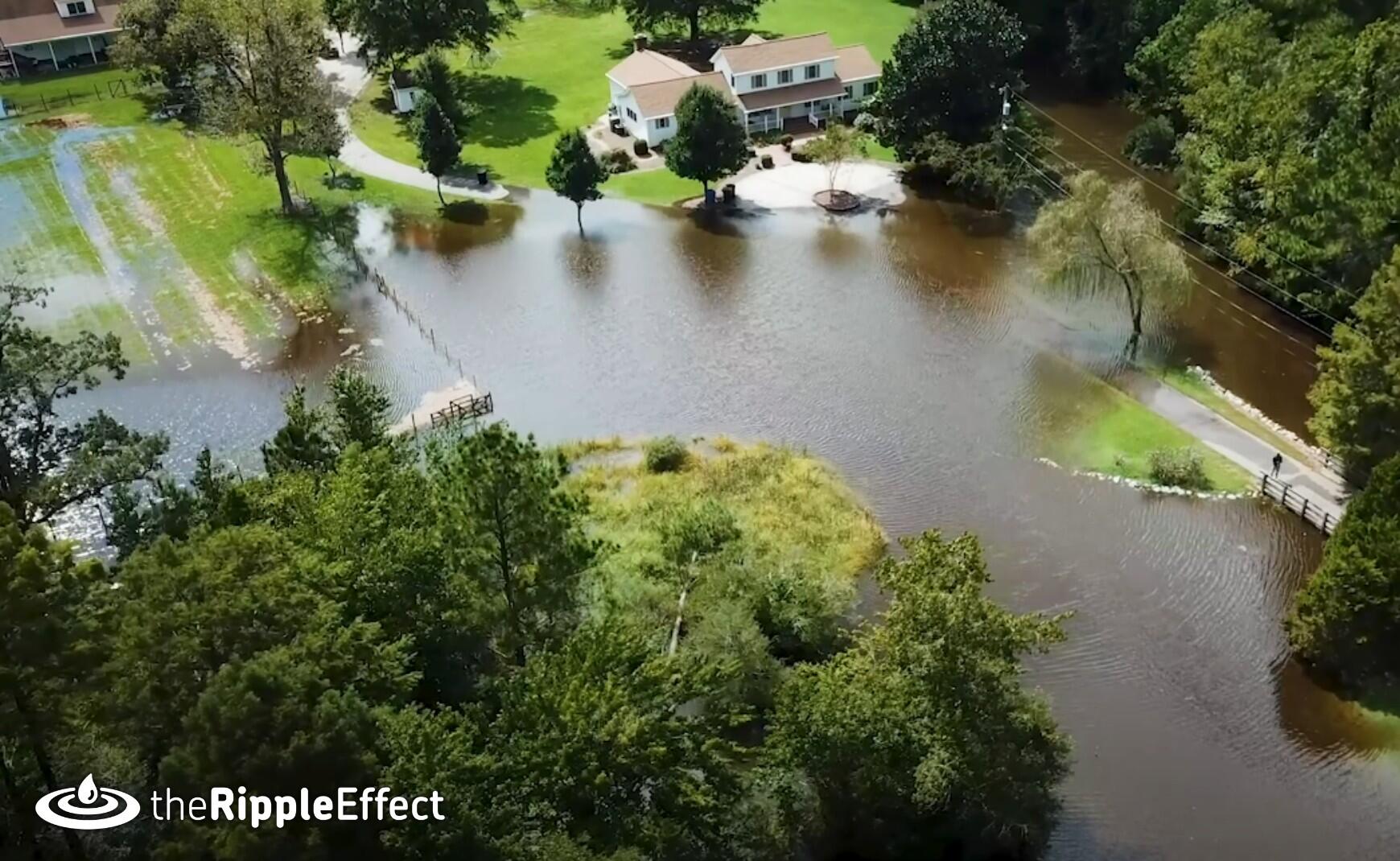 There are three common types of flooding in Virginia Beach: fluvial ...