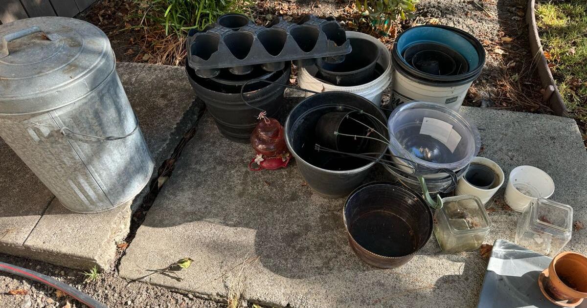 Random garden pots. All free. for Free in San Ramon, CA | For Sale ...