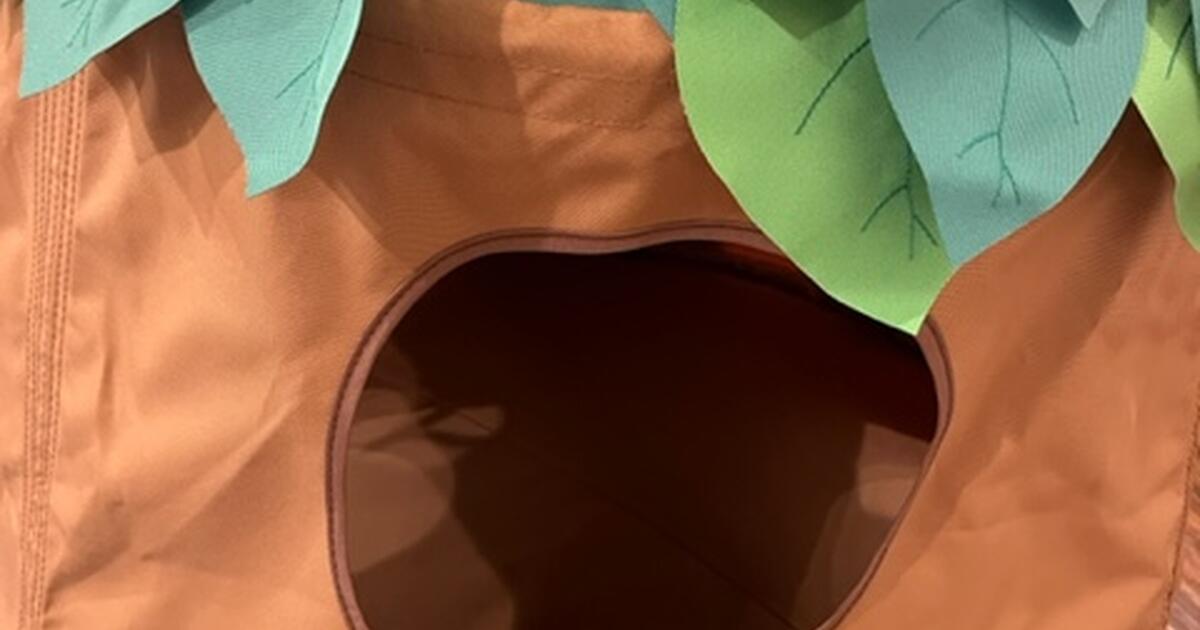 Woodland Huggle Pod for $90 in Douglasville, GA | For Sale & Free ...