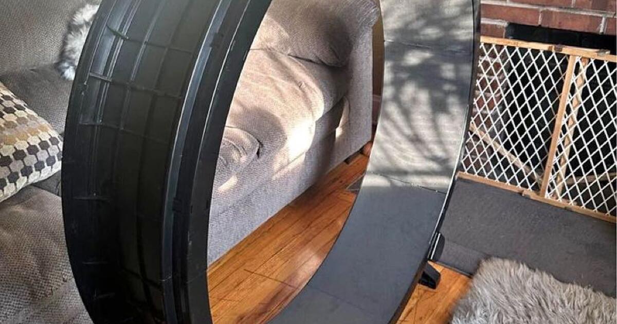 One Fast Cat Giant Cat Exercise Wheel for $50 in St. Charles, MO | For ...