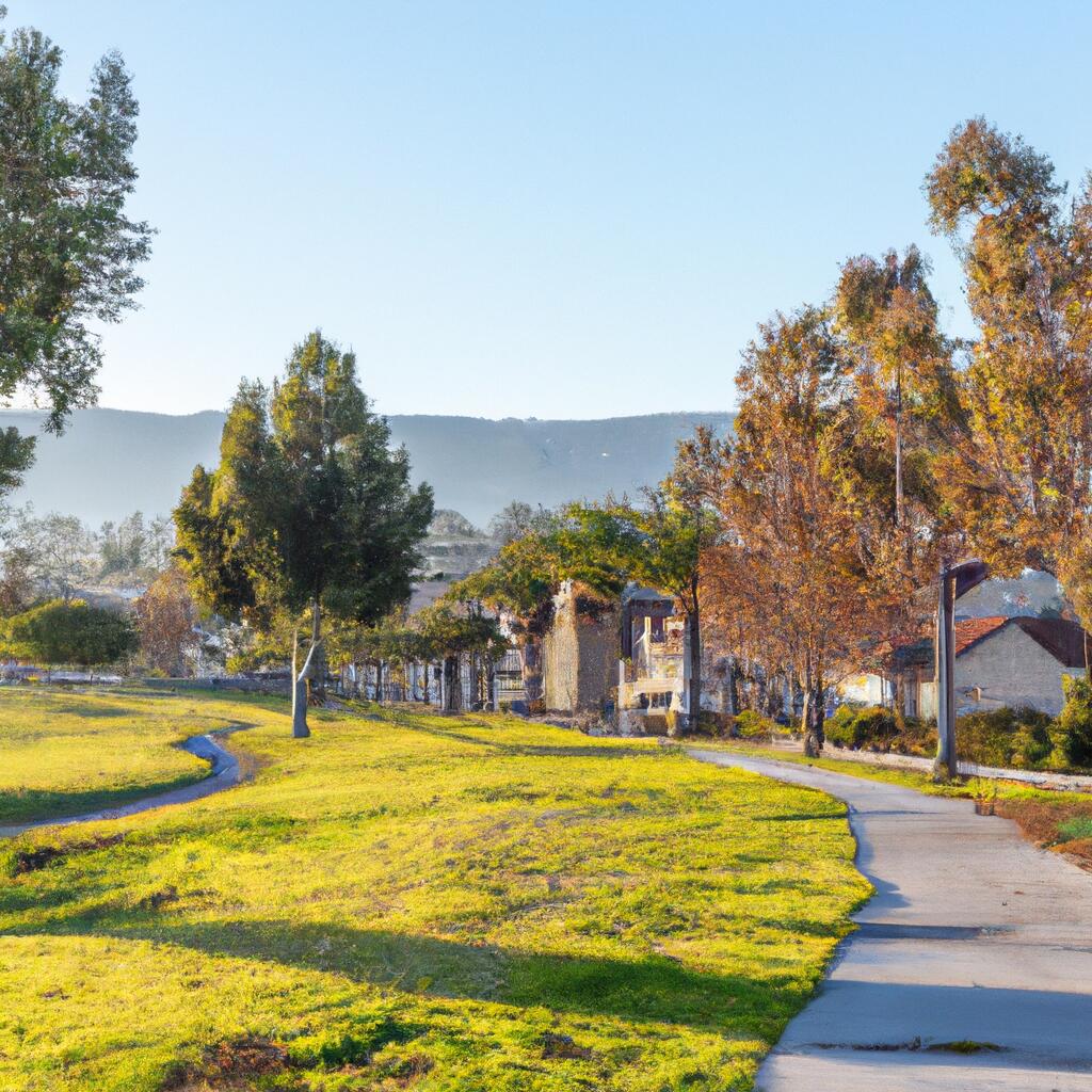 Pinewood Park, Cypress | Everything You Need to Know