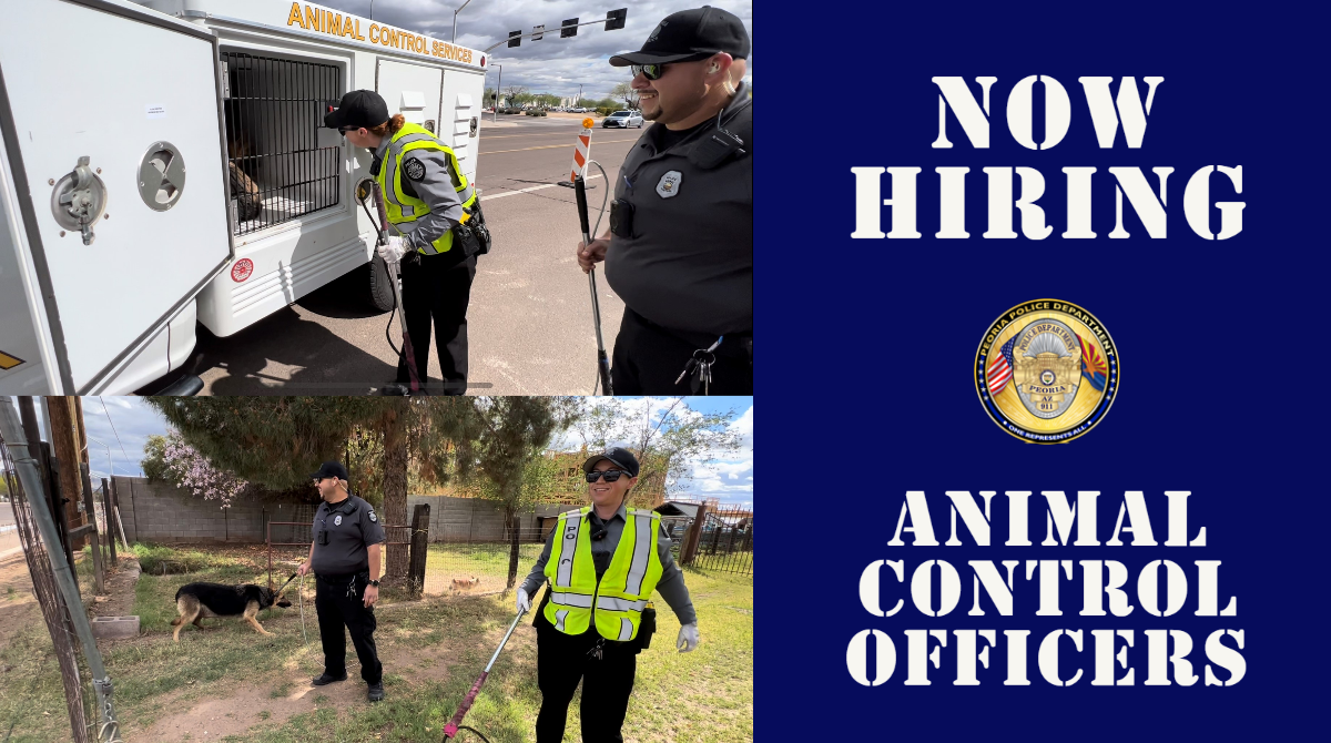 Now Hiring Animal Control Officers (Peoria Police Department ...