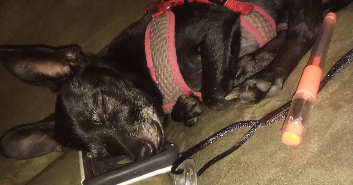 ISO SEWING MACHINE for Free in Tigard, OR | For Sale & Free — Nextdoor