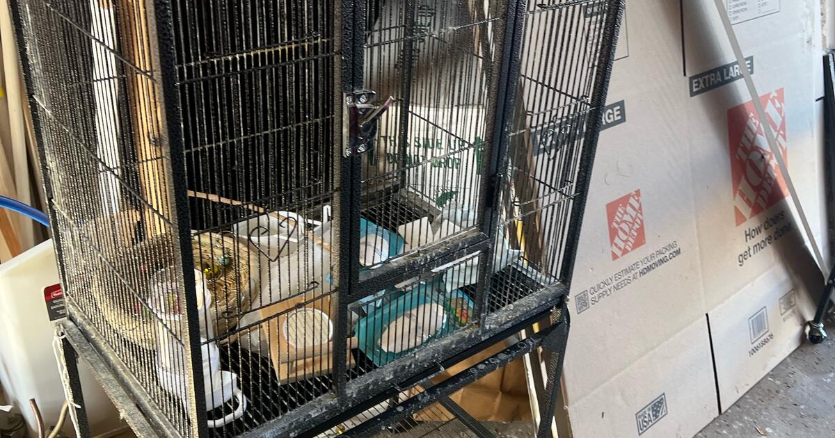 2 Bird Cages and accessories for $140 in Rochester, NY | For Sale ...