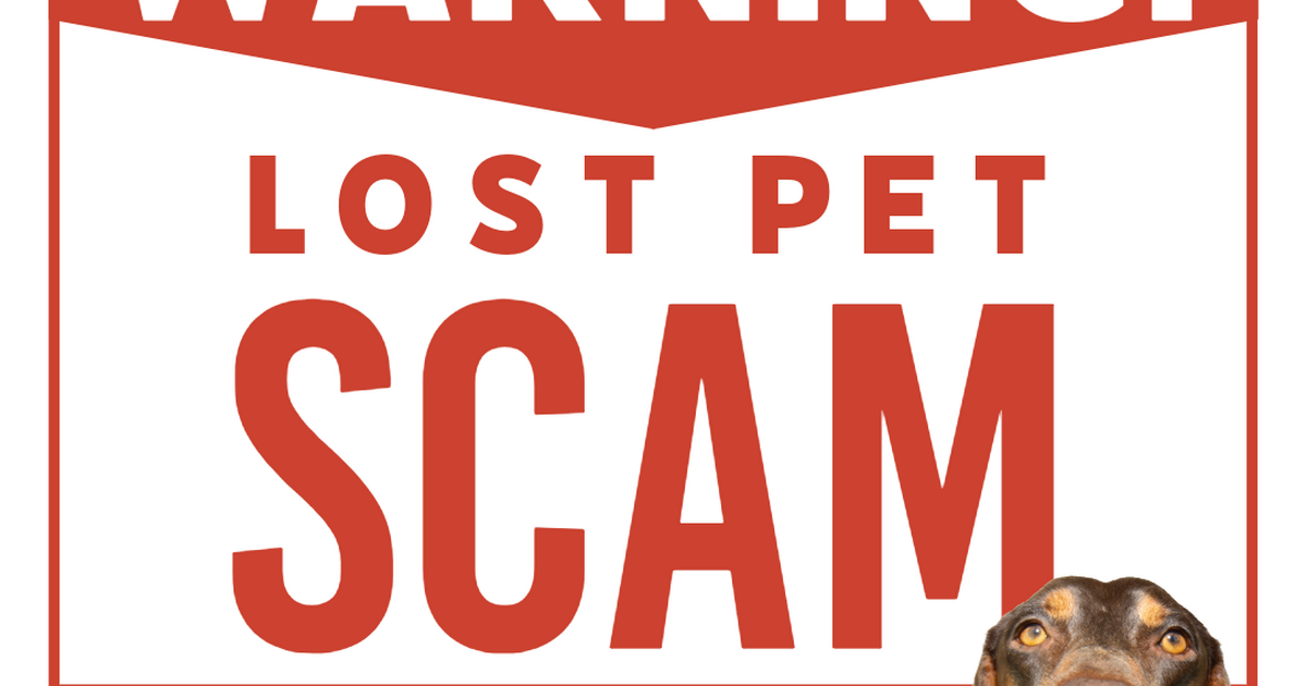 🚨 LOST PET SCAM ALERT! — Nextdoor