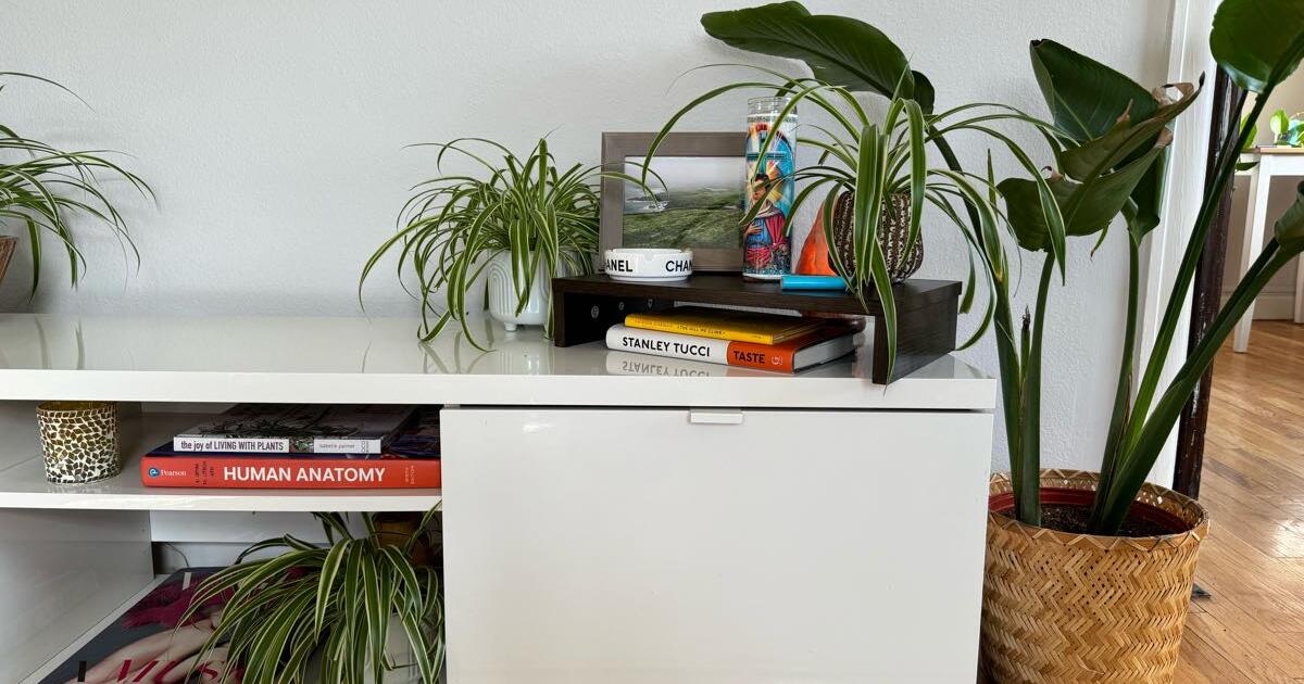 plants & stuff for $1 in Denver, CO | For Sale & Free — Nextdoor