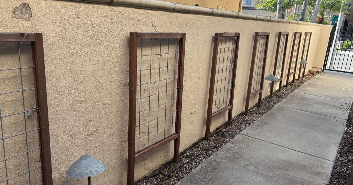 Wooden Garden Trellises 7 total for $40 in San Diego, CA | For Sale & Free — Nextdoor