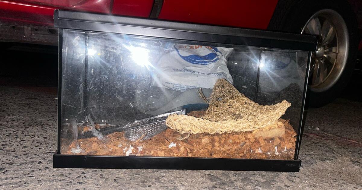 Random stuff for sale for $111111111 in Fresno, CA | For Sale & Free ...