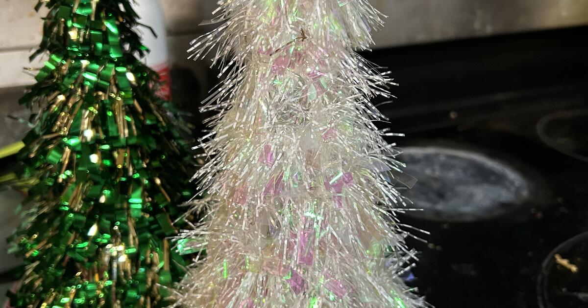 5 LITTLE CHRISTMAS TREES for $10 in Gansevoort, NY | For Sale & Free ...