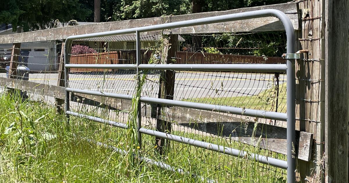 4 Metal Corral Gates for Free in Woodinville, WA | For Sale & Free ...