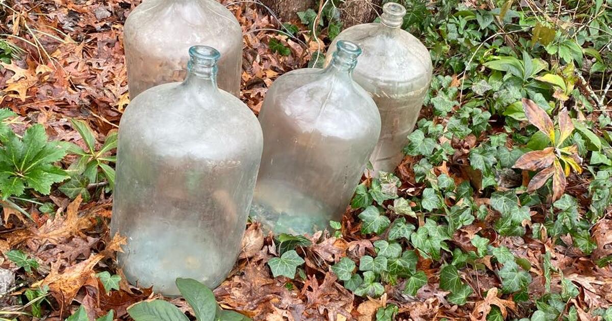 4 five gallon carboys for Free in Raleigh, NC | For Sale & Free — Nextdoor