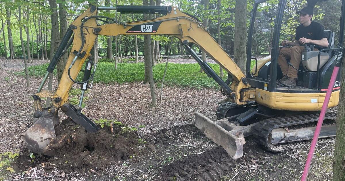 Stump Removal, Drainage, Light Excavation for $85 in Greenwich, CT ...