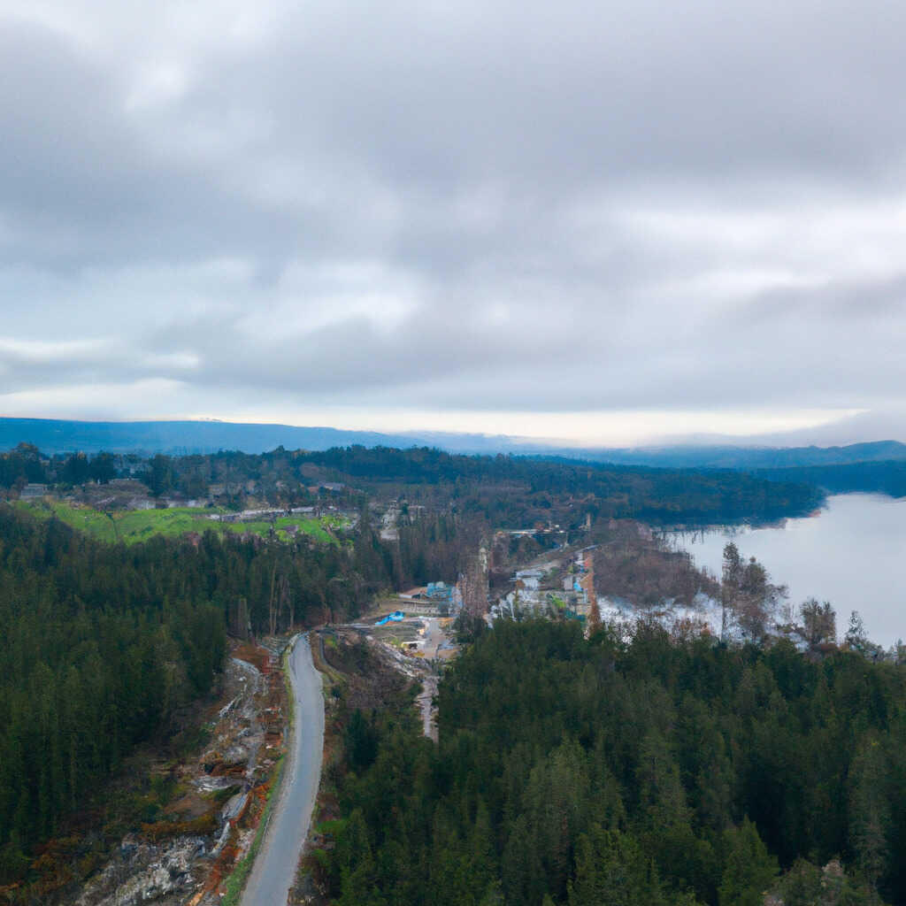 Forest Springs / Dewatto, Tahuya | Everything You Need to Know