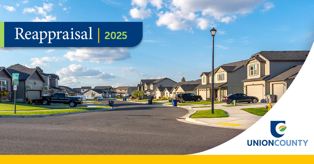 🆕 Union County's 2025 schedule of values (SoV) is now available online ...