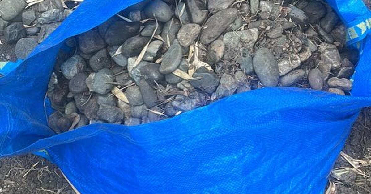 Free river rocks for Free in Davis, CA | For Sale & Free — Nextdoor
