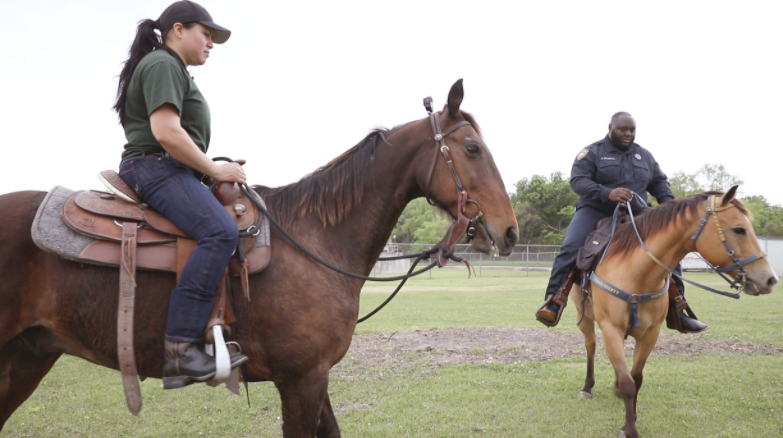 Watch: Mounted Patrol Unit Training (Harris County Sheriff's Office ...