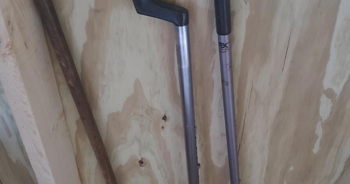 Canes for Free in Lyman, SC | For Sale & Free — Nextdoor