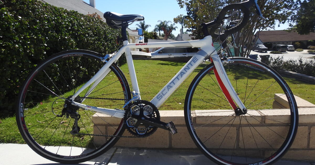 Scattante Carbon Fiber Road bike for $500 in Ventura, CA | For Sale ...