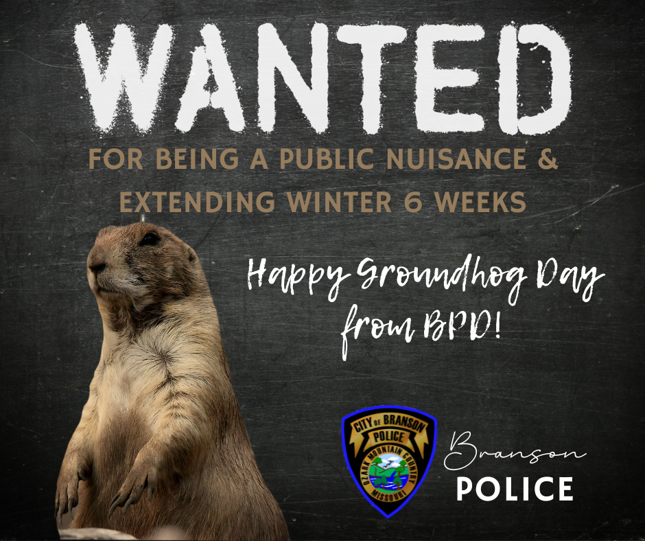 WANTED: A groundhog by the name of Punxsutawney Phil for being a public ...