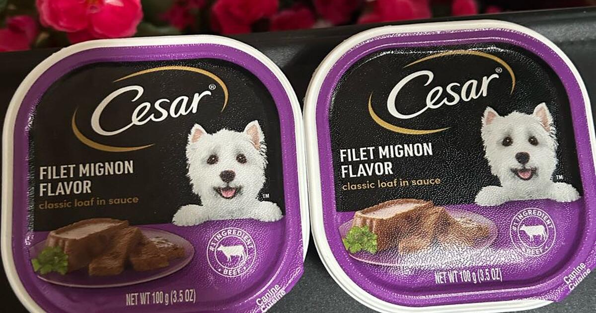 Cesar Filet Mignon Dog Food for $1 in Ferndale, WA | For Sale & Free ...
