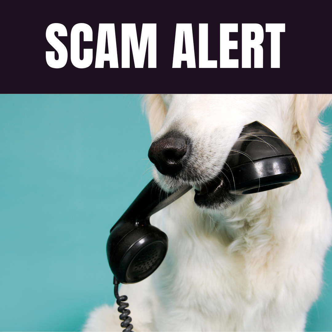 SCAM ALERT: We have received reports of scammers targeting pet owners ...