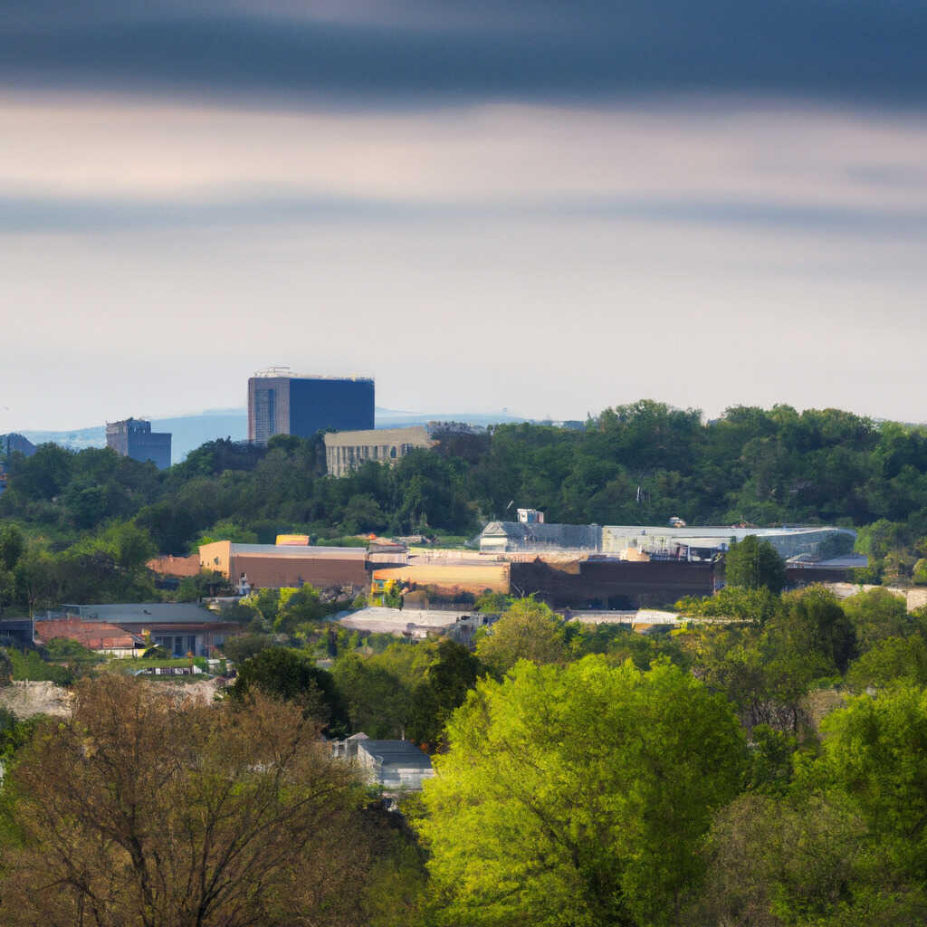 Mary Guerra, Lexington | Everything You Need to Know