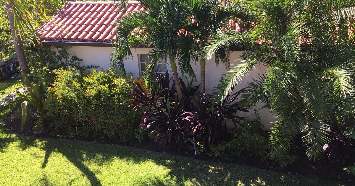 Charming Cottage on Alton Road for $1900 in Miami Beach, FL | For Sale ...
