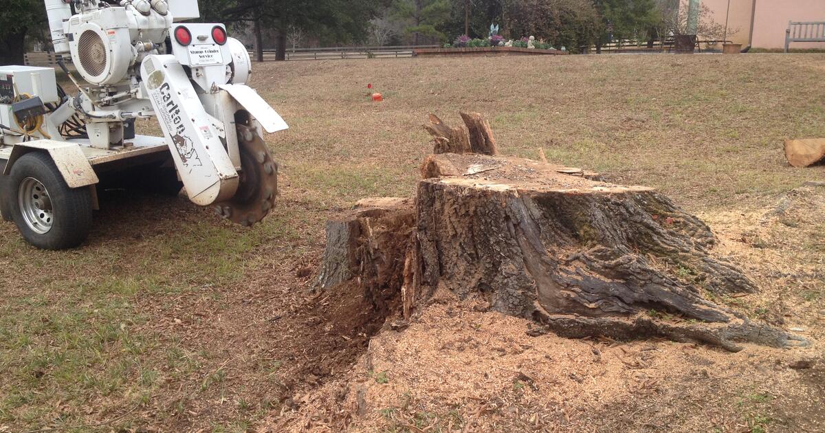 TREE AND SHRUBBERY REMOVAL in Montgomery, AL | For Sale & Free — Nextdoor