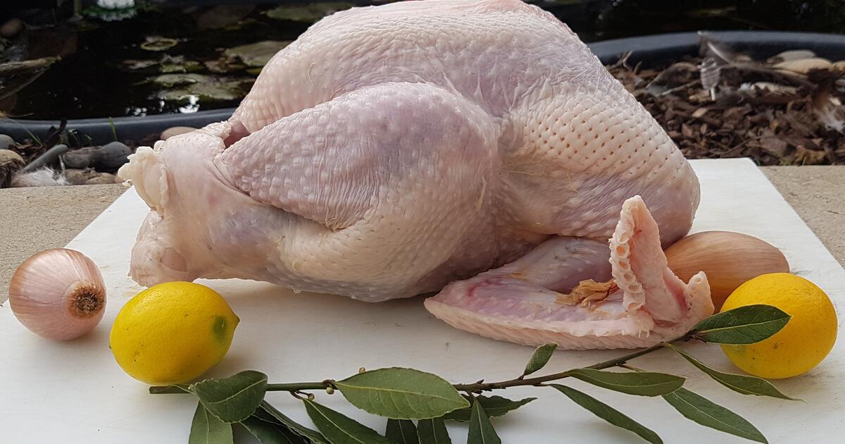 Free Range Heritage Thanksgiving Turkeys for $12 in Ramona, CA | Finds ...