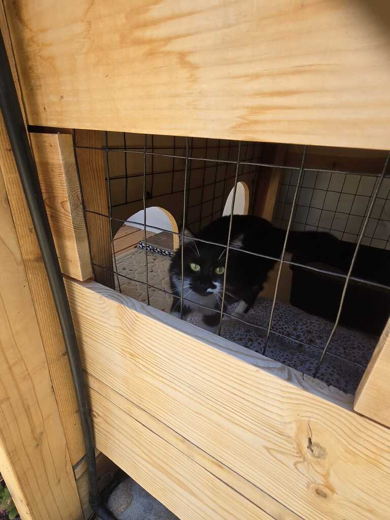 Rod creative mind - San Diego, CA - Nextdoor