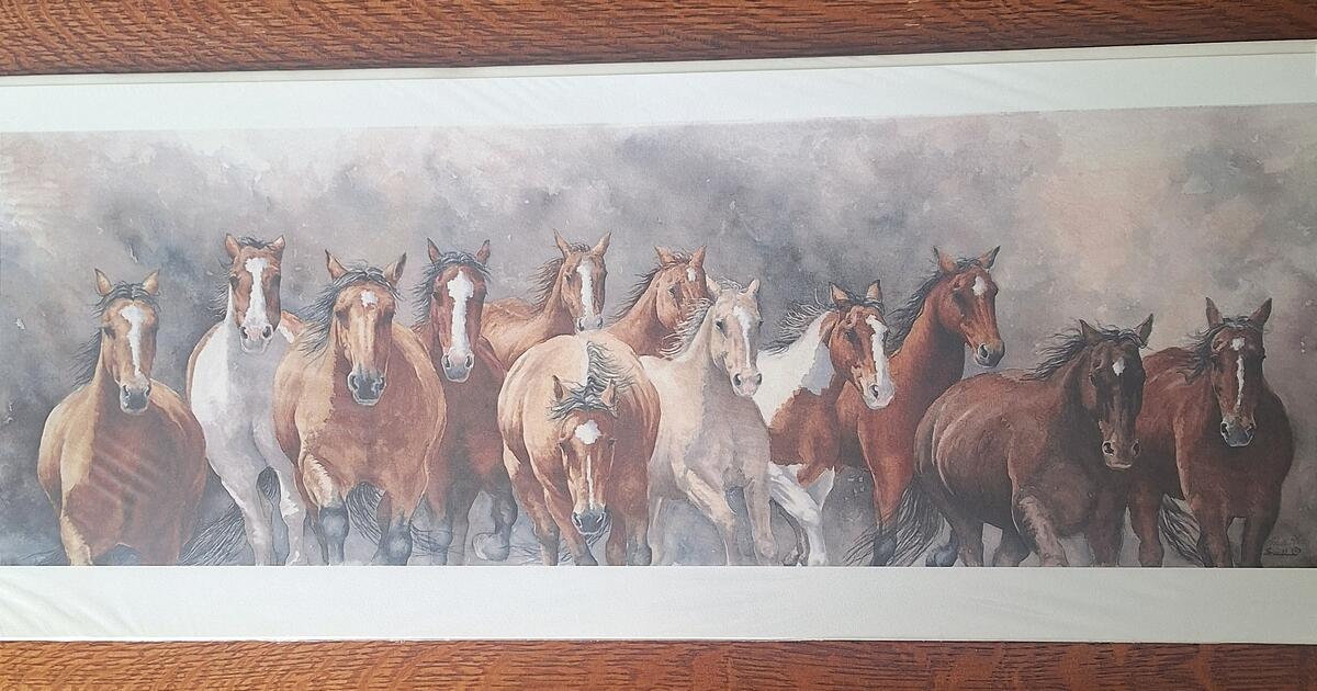 "Dirty Dozen" Signed Print by Artist Susan Neill for $60 in Parker, CO ...