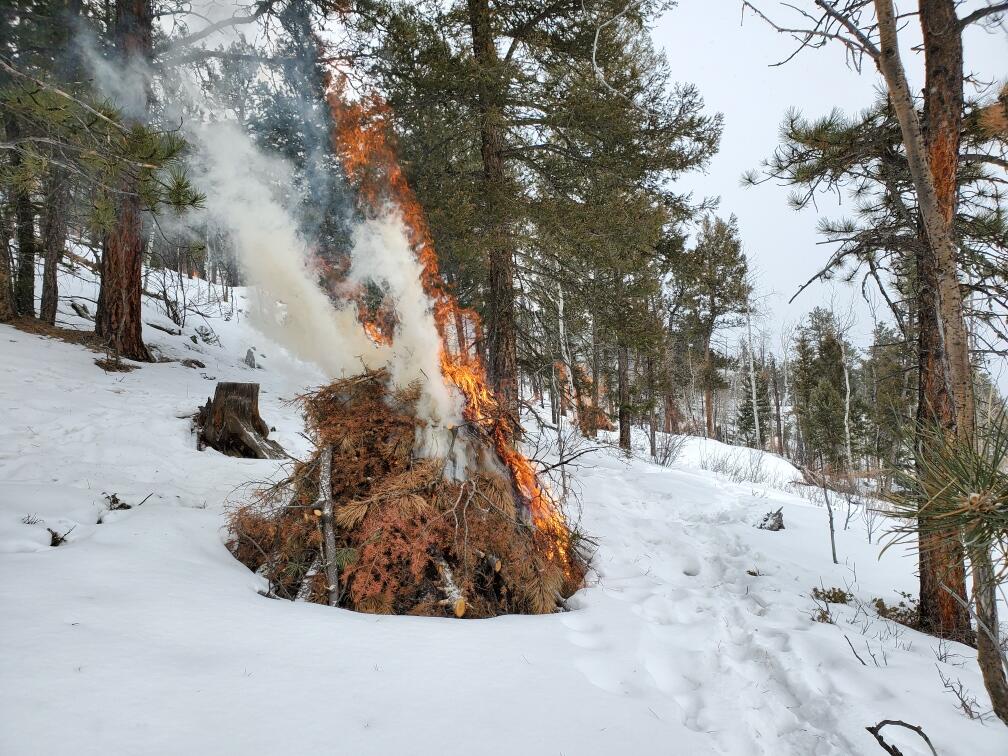 Pile Burning in the Pike NF (Tri-Lakes Monument Fire Protection ...