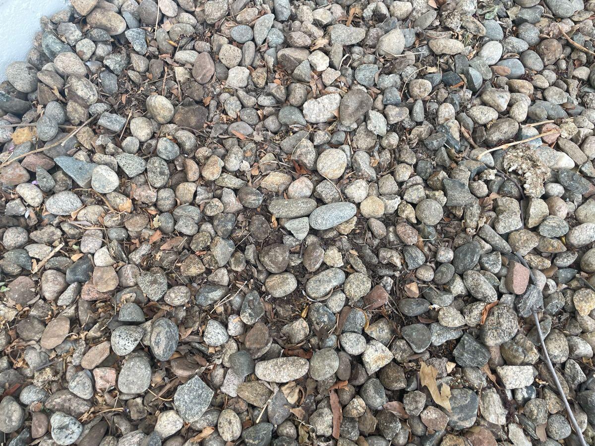 Free river rocks for landscaping for Free in Longmont, CO | For Sale ...
