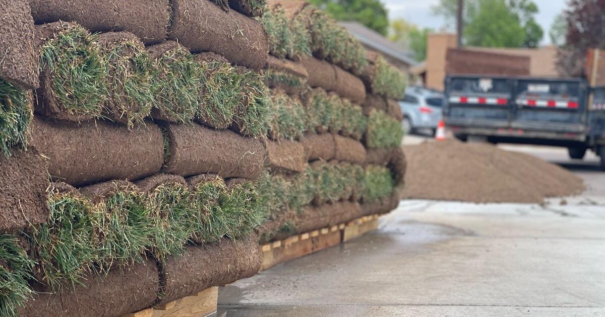Kentucky Blue Sod & Installations Big Sale for $2 in Centennial, CO ...
