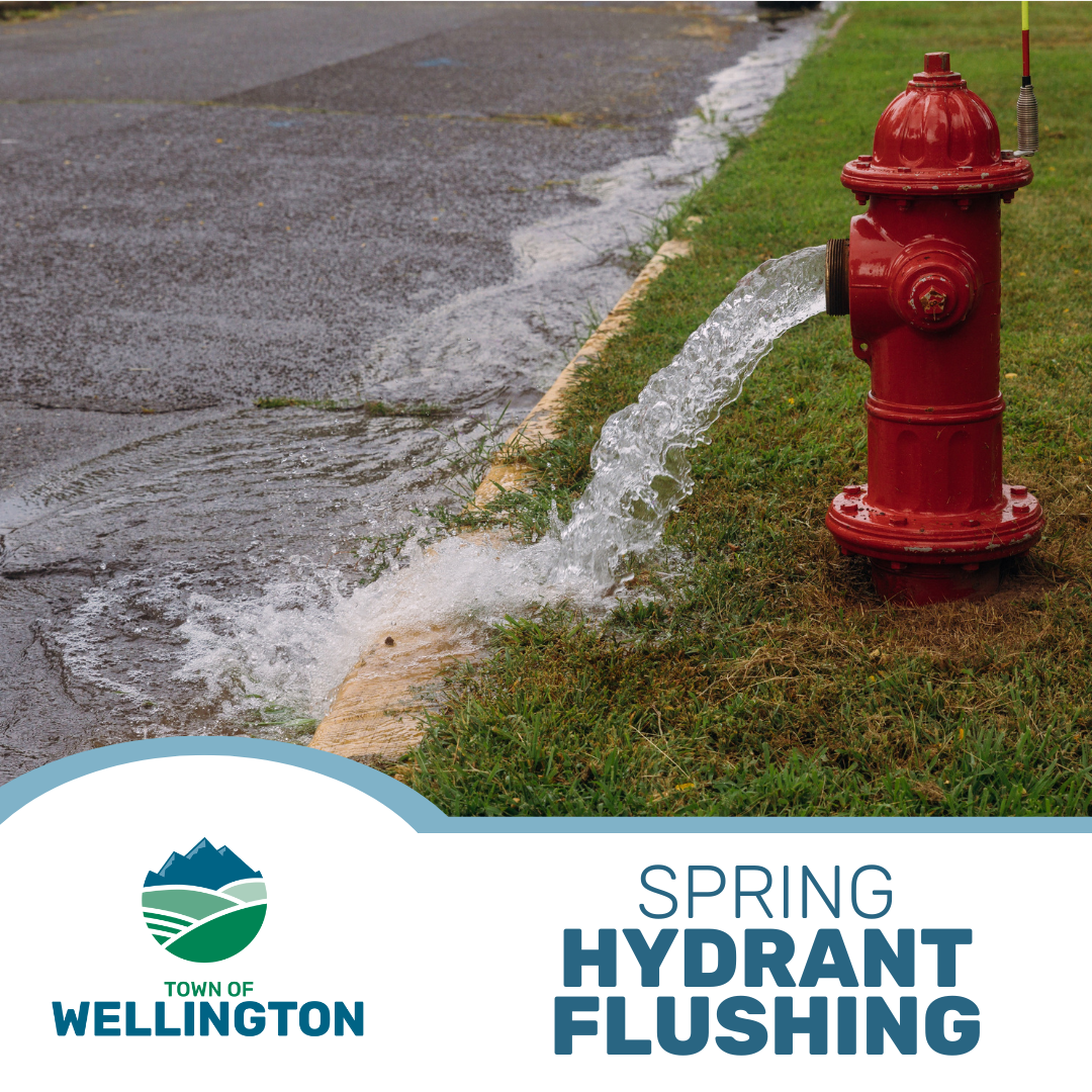 The Town of Wellington Public Works Department this week will start ...