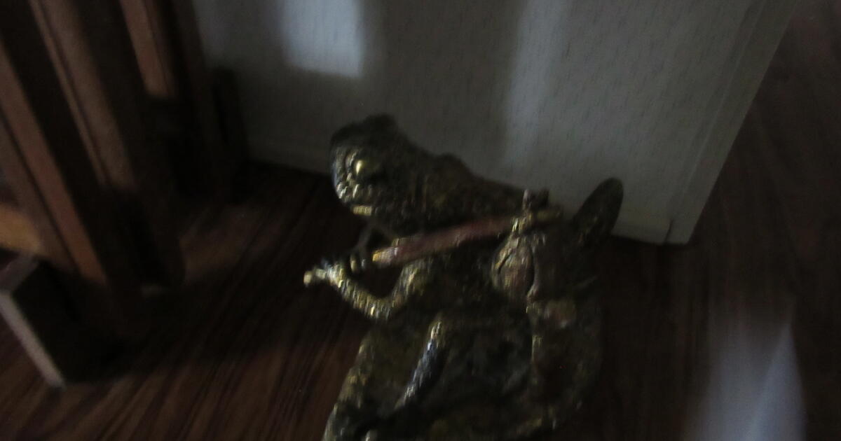 Hobo Frog for $10 in Brooksville, FL | For Sale & Free — Nextdoor