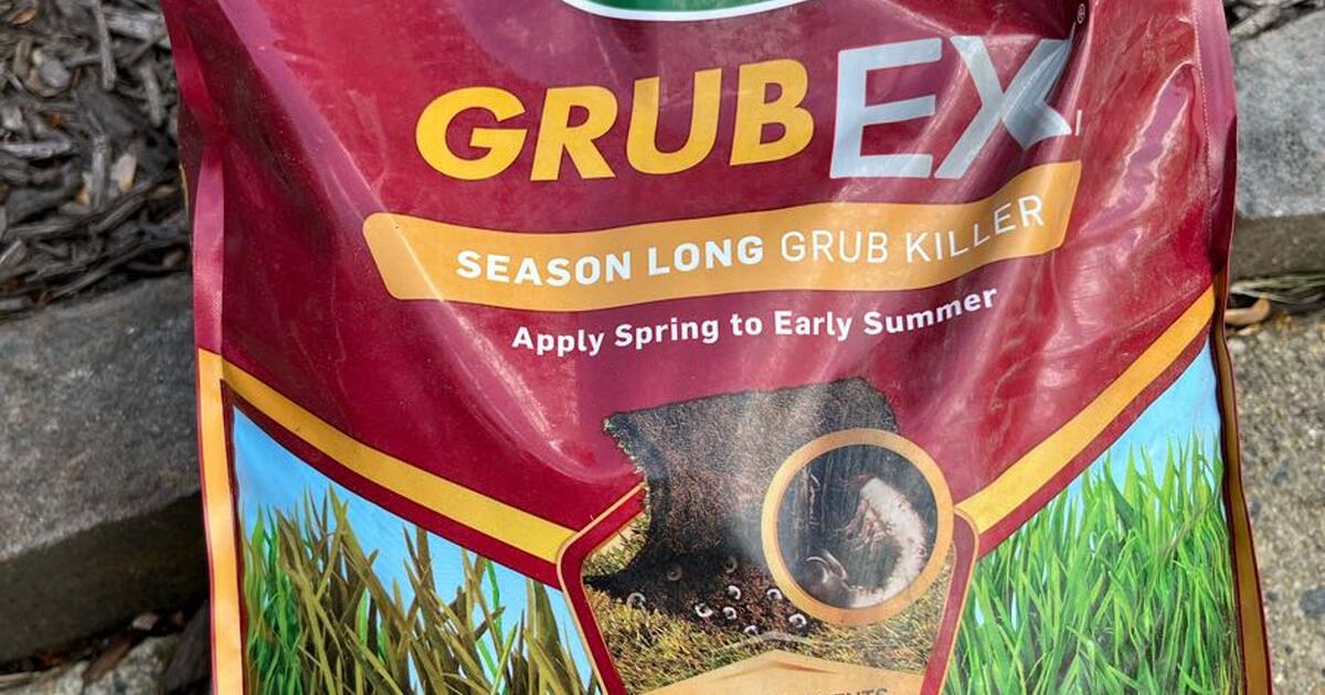 Grub Ex for Lawn for Free in Annandale, VA | For Sale & Free — Nextdoor