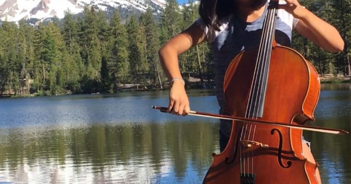 Cello for $7000 in Los Altos, CA | For Sale & Free — Nextdoor