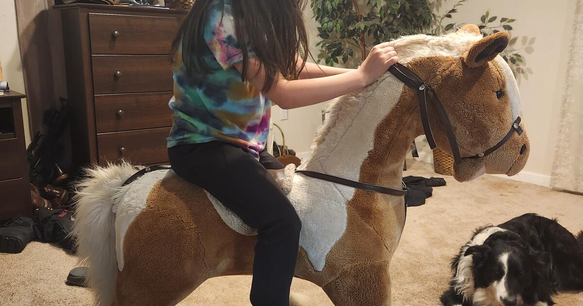 Play "Life Sized" Pony for Free in Portland, OR | For Sale & Free ...