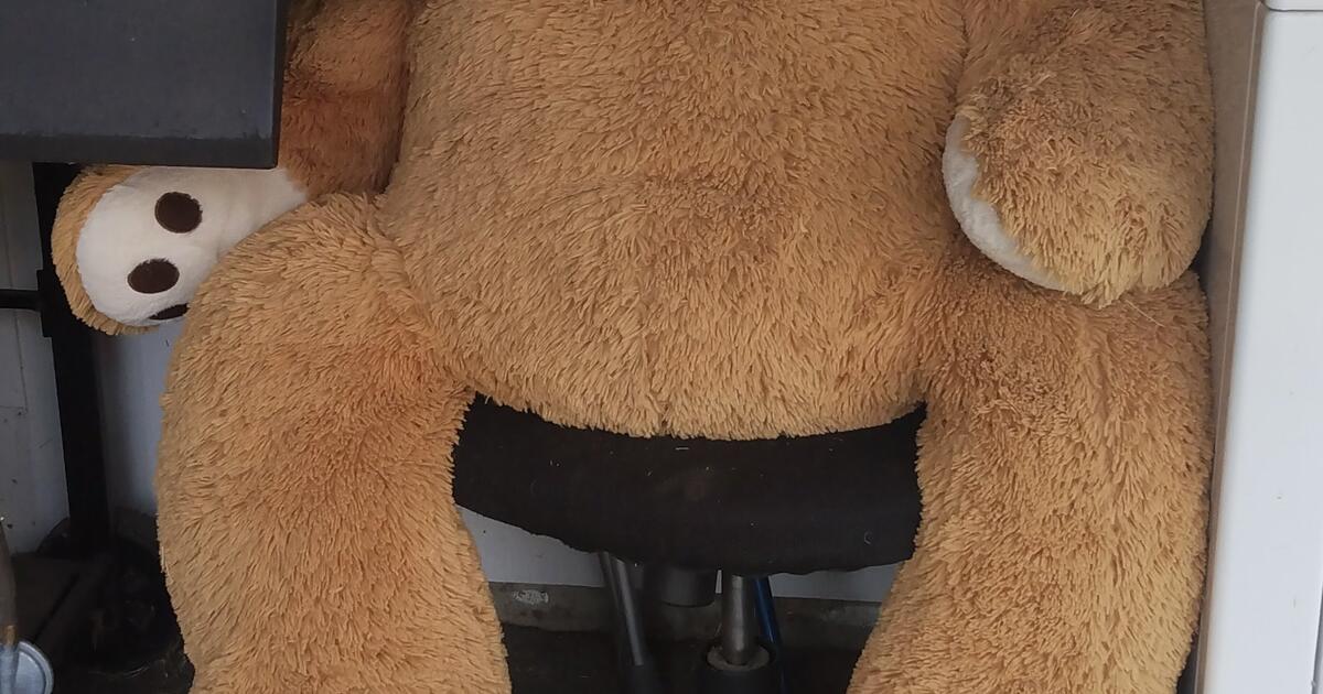 Bear for Free in Severn, MD | For Sale & Free — Nextdoor