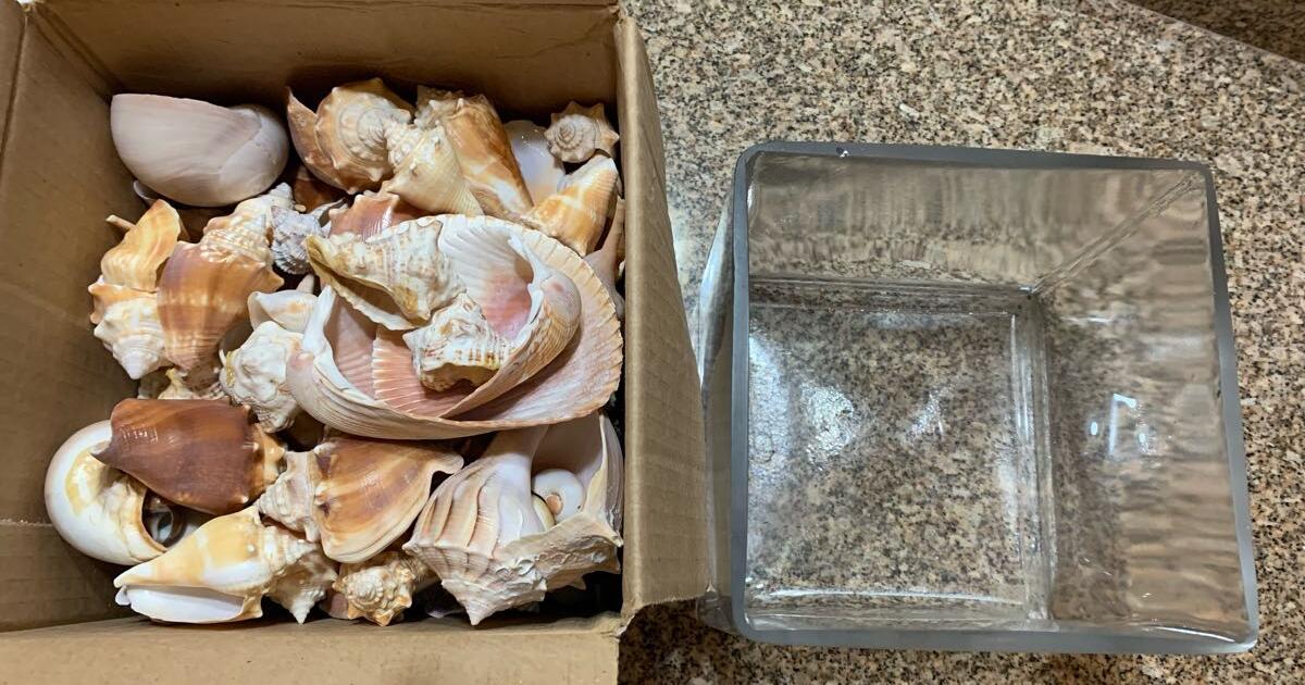 Glass container and shells home decor for $20 in Allen, TX | For Sale ...