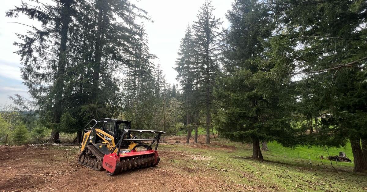 FireWise Landscaping, Forest Mulching, Wildfire Protection for $1700 in ...