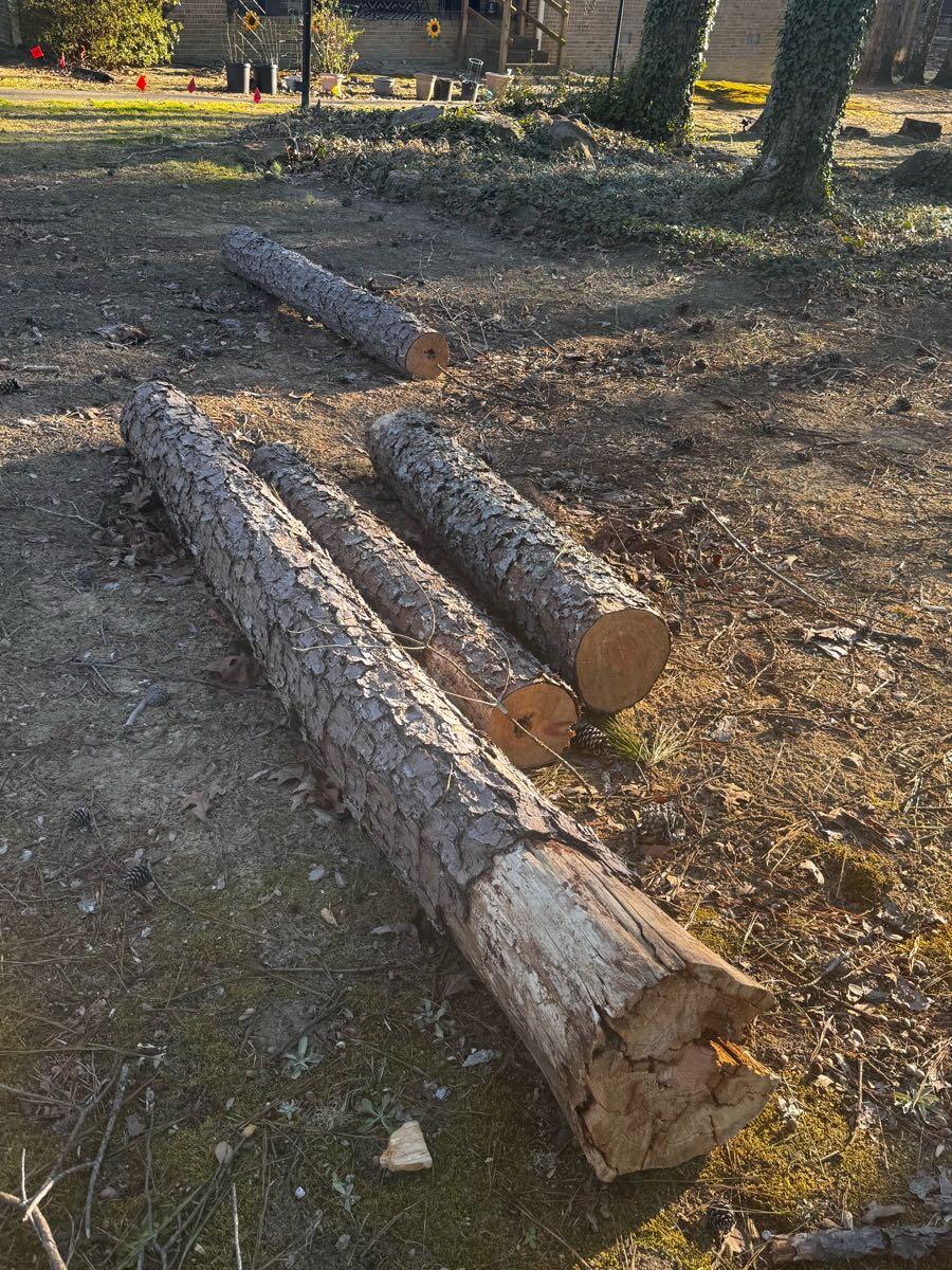 Free Cut Logs for Free in Stockbridge, GA | For Sale & Free — Nextdoor