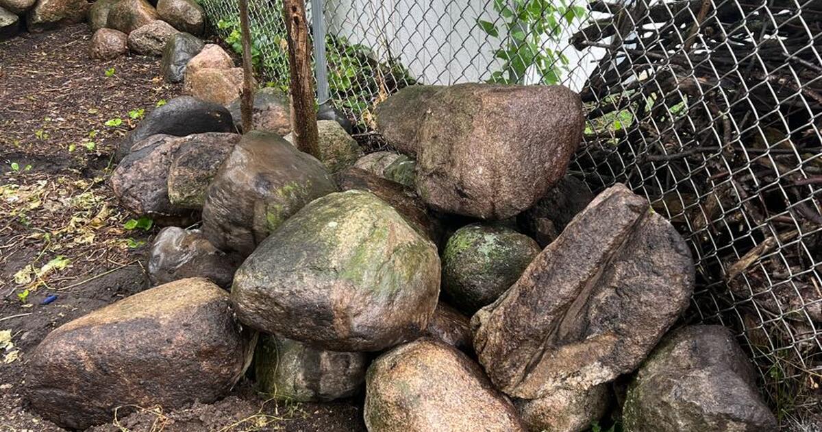 Free- Large Landscaping Rocks for Free in St. Louis Park, MN | For Sale ...
