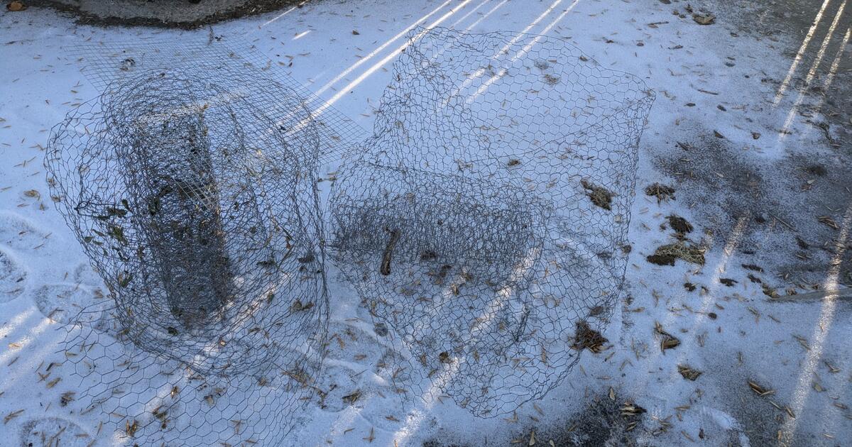 Free Chicken Wire for Free in Lakewood, CO | For Sale & Free — Nextdoor