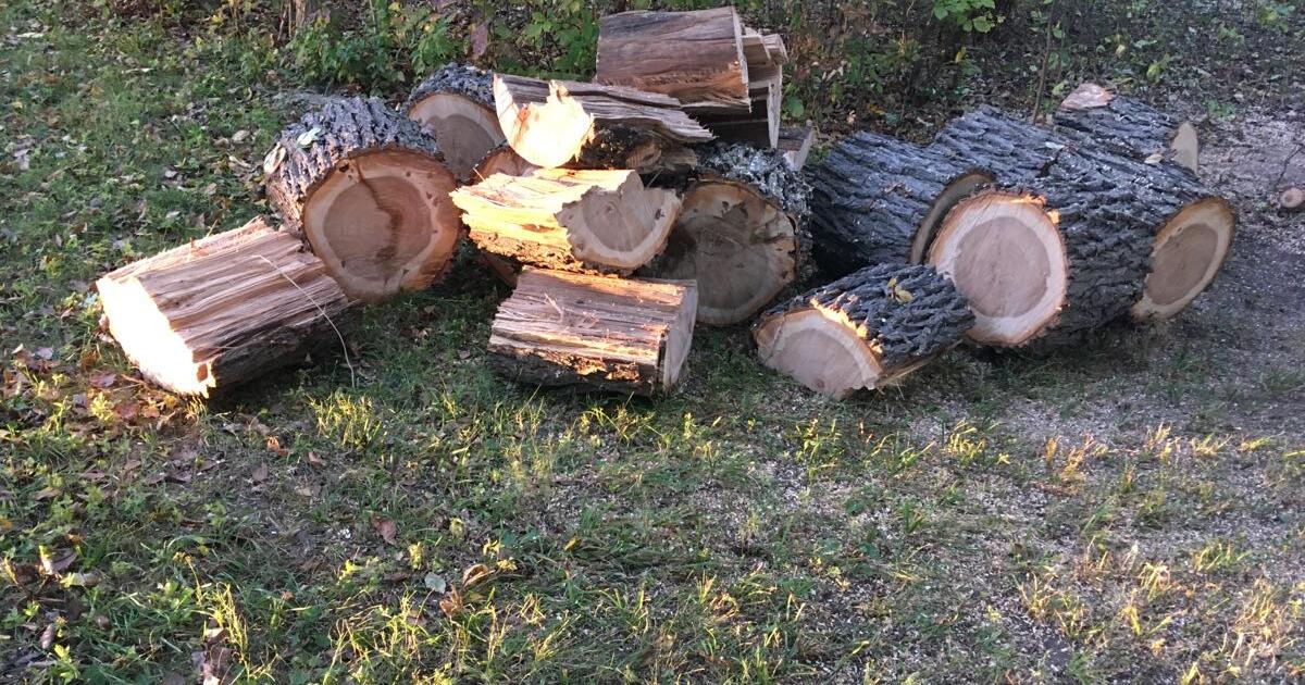 Hickory Wood in 16 inch long stumps in Chelsea, MI | For Sale & Free ...