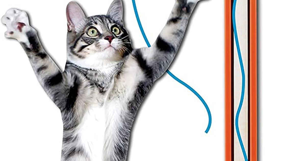 FLING-AMA-STRING CAT TOY for $8 in San Diego, CA | Finds — Nextdoor