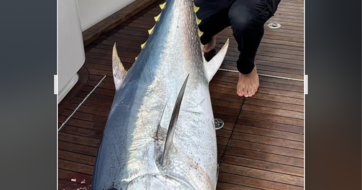 We need a Trolling Motor let me no can pay cash! for Free in Ventura ...