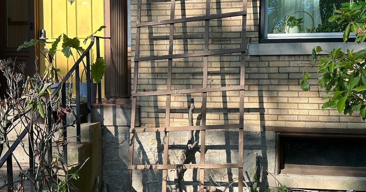 Ivy rack for Free in Pittsburgh, PA | For Sale & Free — Nextdoor