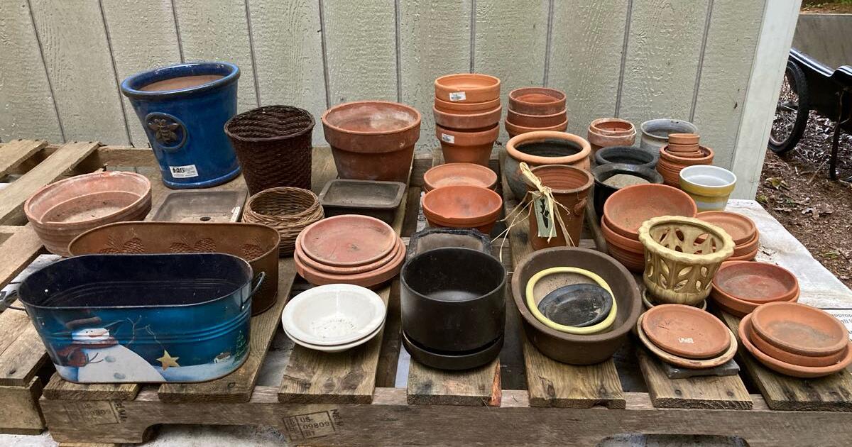 Assorted Plant Pots. Text 508-524-2778 for Free in Woods Hole, MA | For ...
